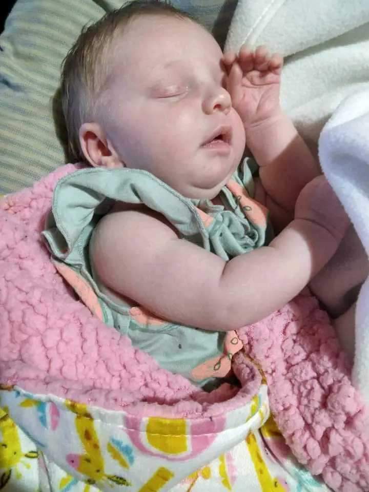 Robert D. McKelvey, Jr. Genealogy, Ancestry, and History Page 217n